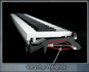 Fully Weighted vs. Semi-Weighted Keys - Piano Tone